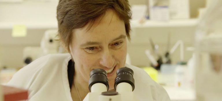 In the lab: Professor Erica Fletcher - Macular Disease Foundation ...